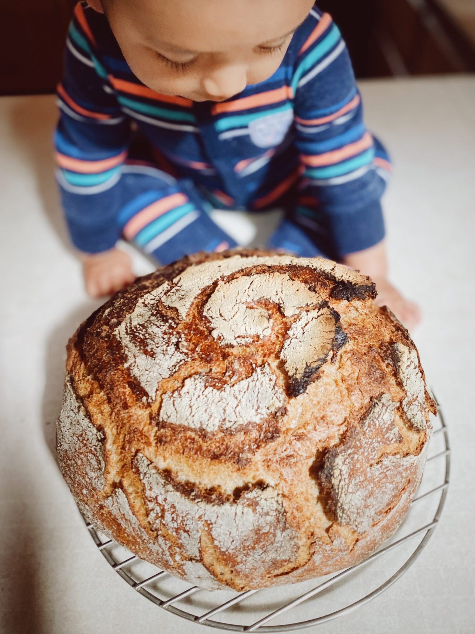 Sourdough Culture: From Then to Now – Homestead Culture