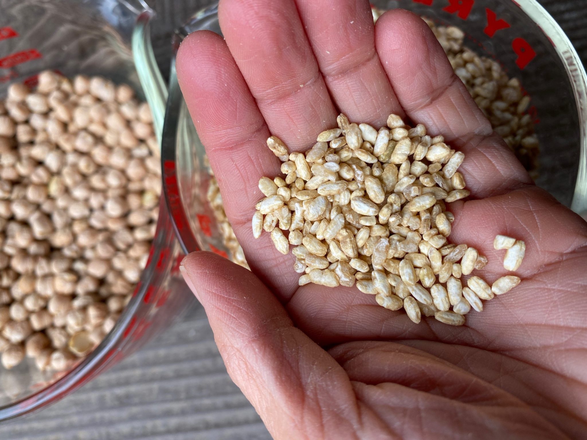 How to Make Your Own Miso (It’s Easier Than You Think) – Homestead Culture