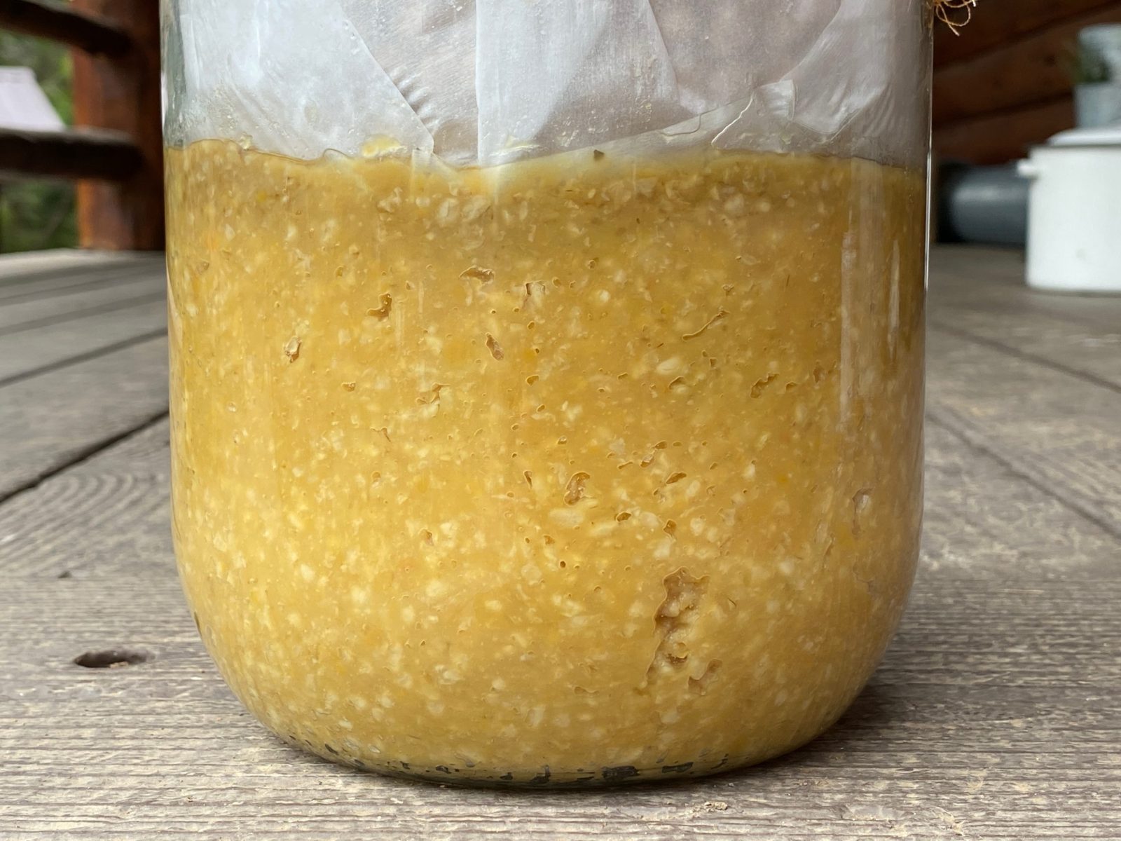 How to Make Your Own Miso (It’s Easier Than You Think) – Homestead Culture