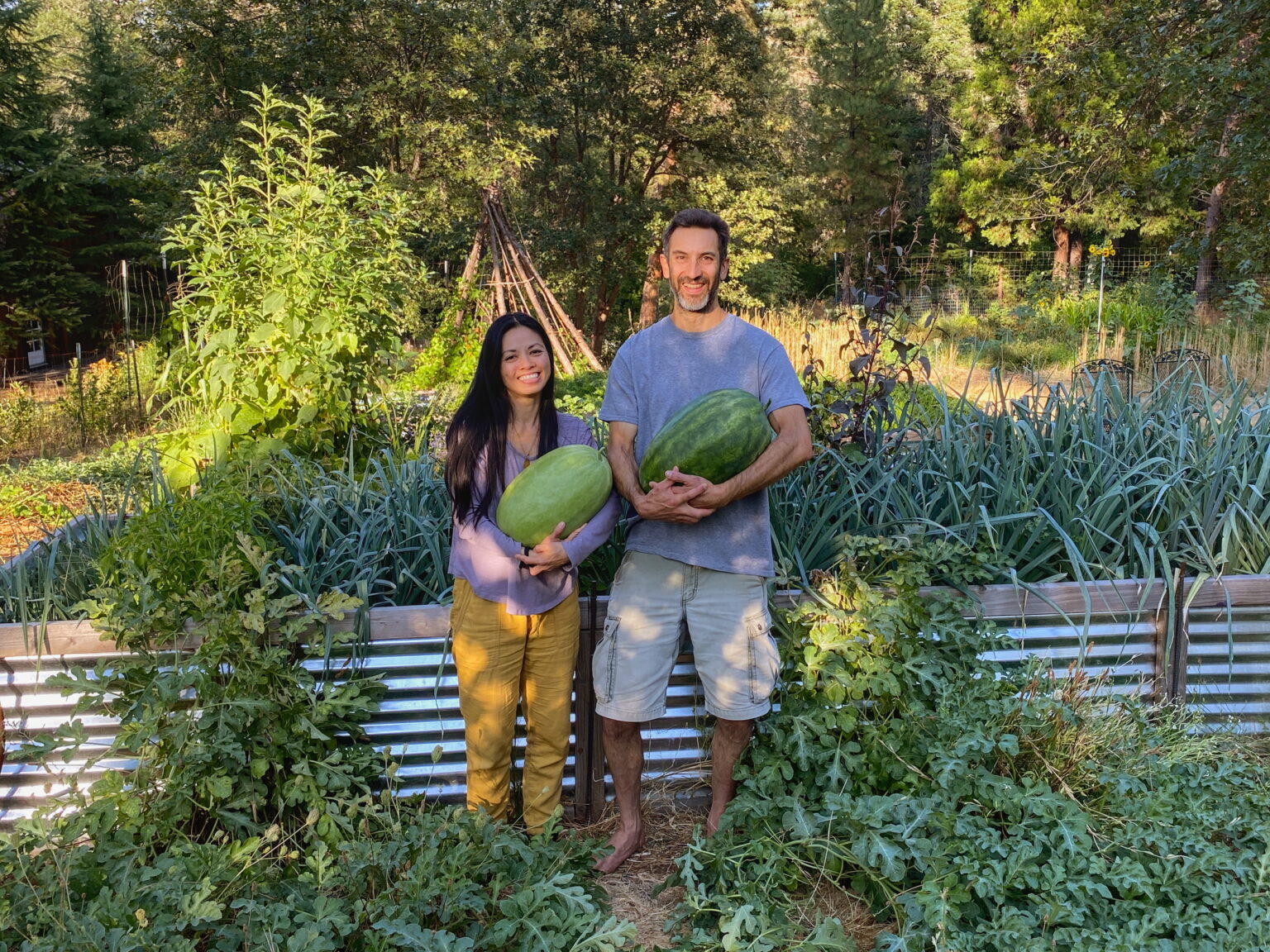 Heirloom Seeds, What Are They Really? – Homestead Culture