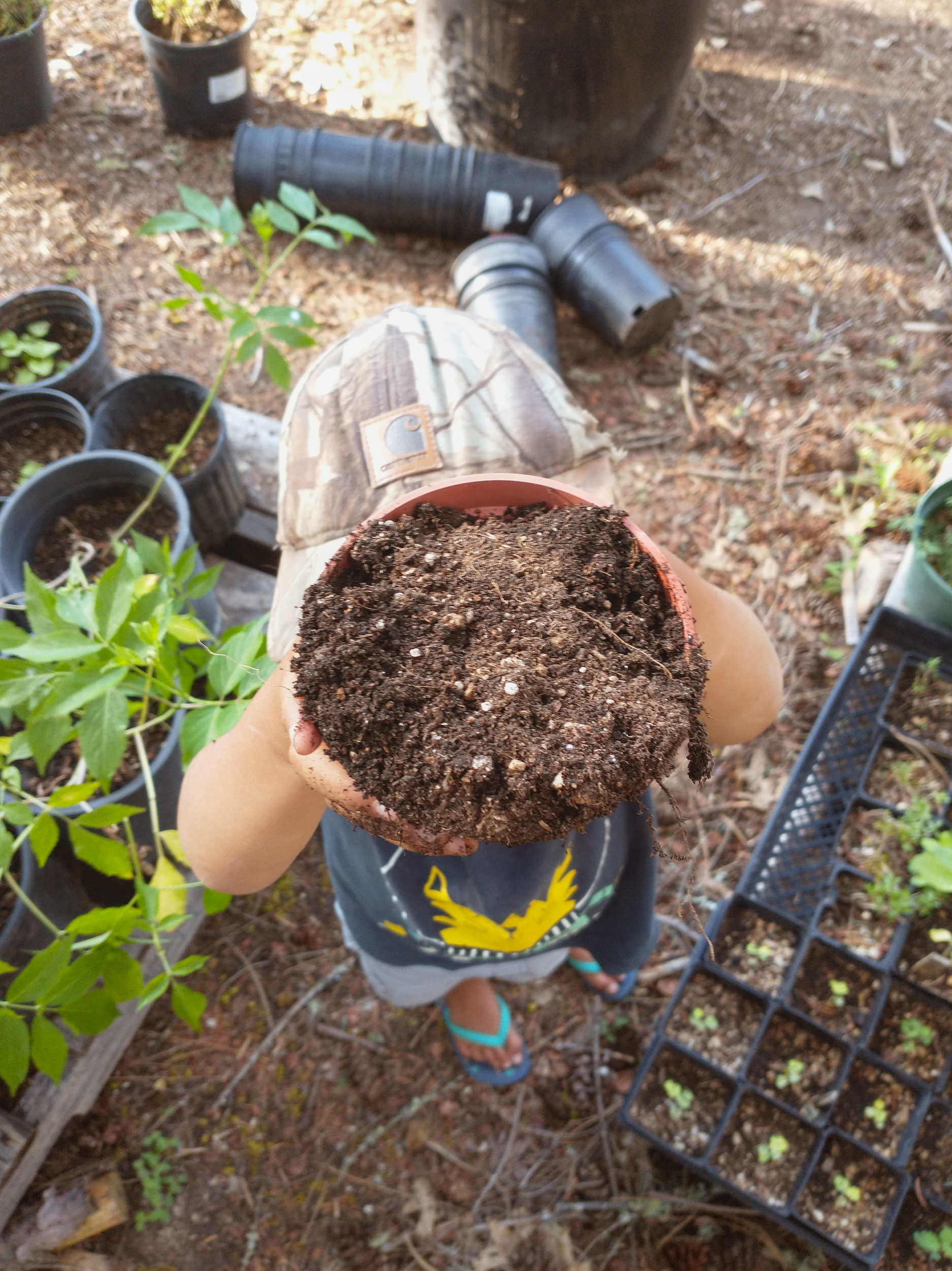 When I Carried Seeds—They Grew Into Love – Homestead Culture